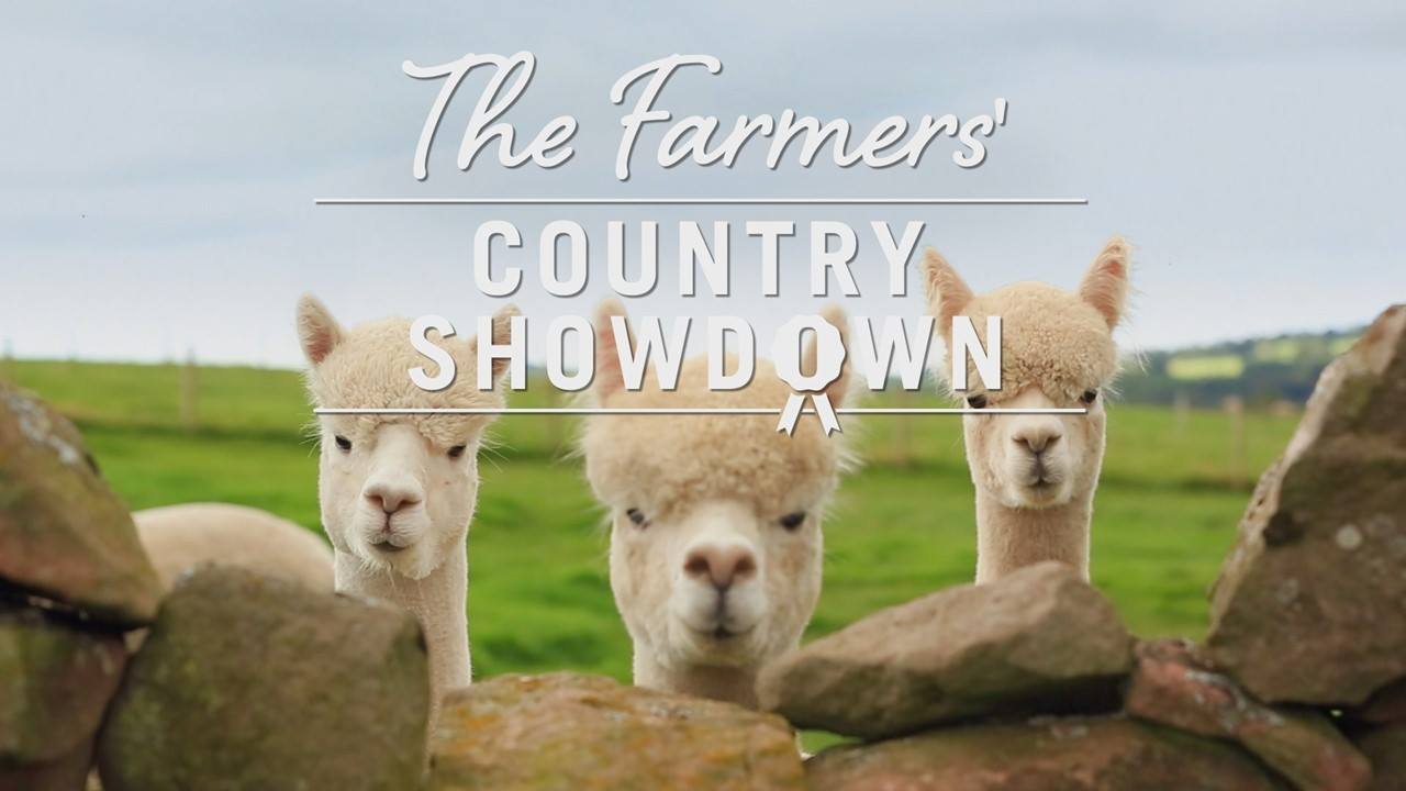 The Farmers’ Country Showdown - BBC2 - Sneaky Biscuit